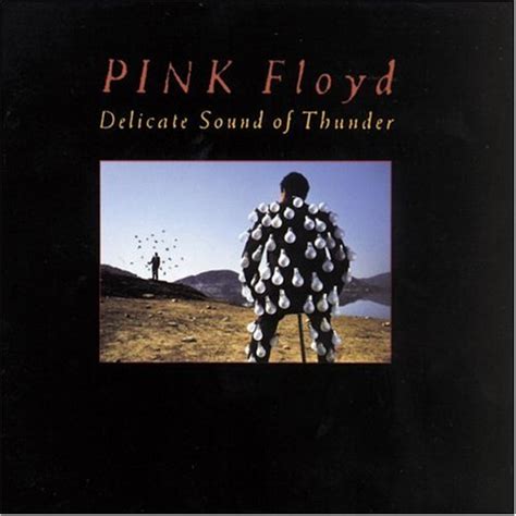 Delicate Sound Of Thunder 1990 Pink Floyd Albums Lyricspond