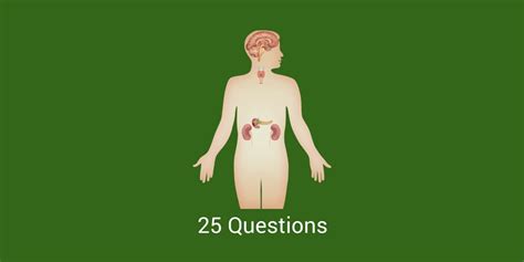 Nclex Practice Exam For Endocrine Disorders 1 Rnpedia