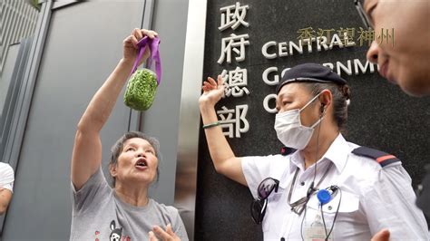 女長毛五一勞動節一人遊行頭腳縛苦瓜寓意工人由頭苦到落尾政總外牆欲掛苦瓜遭警告遞標語被拒收 YouTube