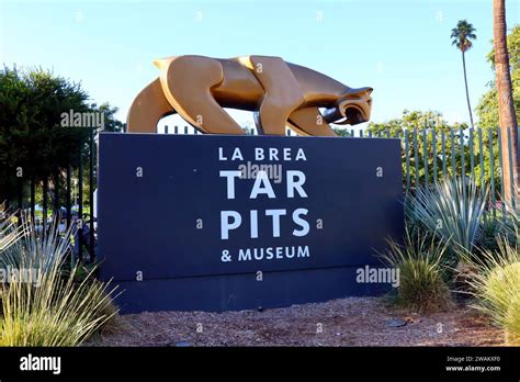 Los Angeles California La Brea Tar Pits And Museum One Of The World