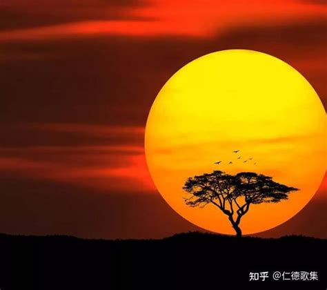 仁德上人 化空歌 知乎