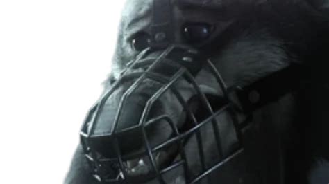 Muzzled Wolf By Draco Awesomeness On Deviantart