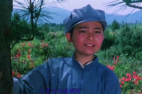 闪闪的红星简单介绍一下主人公潘冬子 快看漫画问答