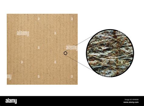 Micrograph Paper Cut Out Stock Images And Pictures Alamy