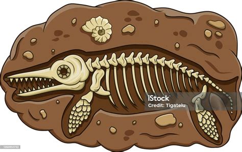 Illustration Of Cartoon Ichthyosaurus Dinosaur Fossil Stock