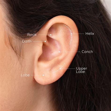 Hoop Sizing Guide Eyrful Artistry