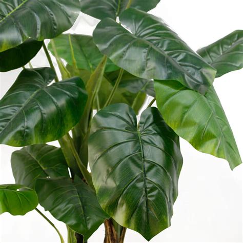 Artificial Trees Taro 60cm To 250cm Sen Masine