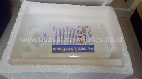 Jual Neutral Buffer Formalin Nbf Agam Jual Neutral Buffer Formalin