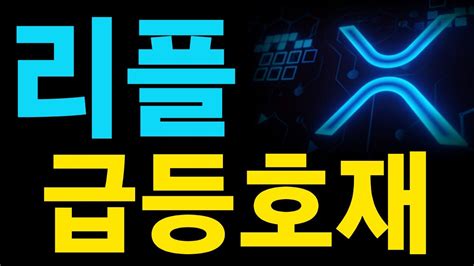 Sec 마지막 발악이 제법 매섭다 리플대응 리플급등 Youtube