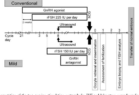 Preimplantation Embryo Development Semantic Scholar