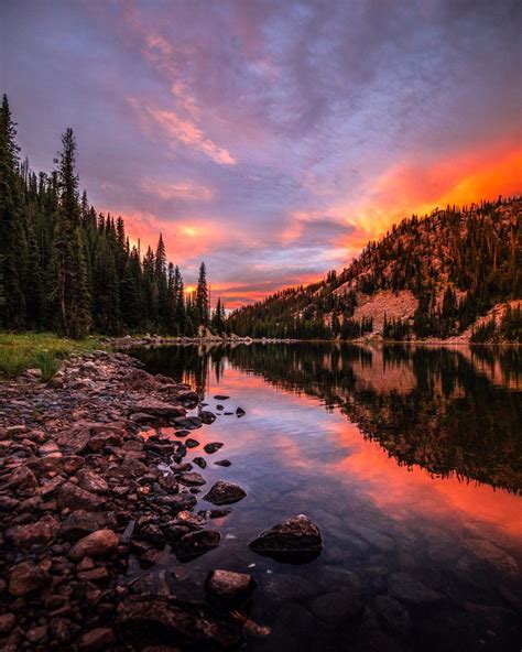 Wizard Fight On Tumblr