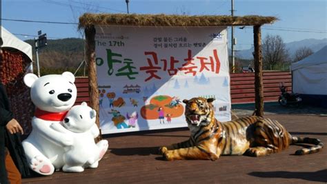 추운데 논산양촌곶감축제를 축제 사진 더페스티벌