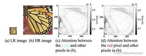 用于图像恢复的图像层次结构的高效和显式建模efficient And Explicit Modelling Of Image Hierarchies For Image Restoration