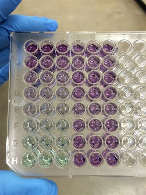 Pierce Bca Protein Assay Kit Thermo Scientific 23225 At Gilberto