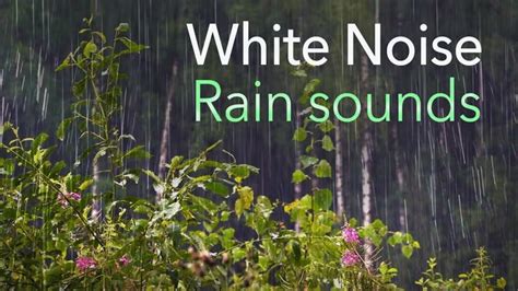 White Noise Rain For Relaxing Focus Or Deep Sleep Nature Sounds 10