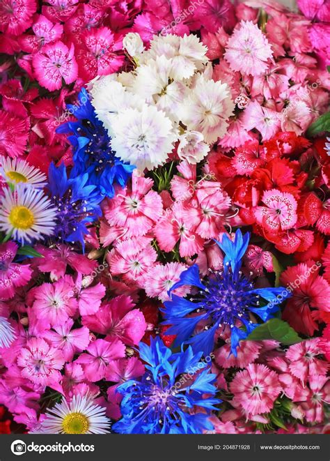 Bright Colored Flower Backgrounds