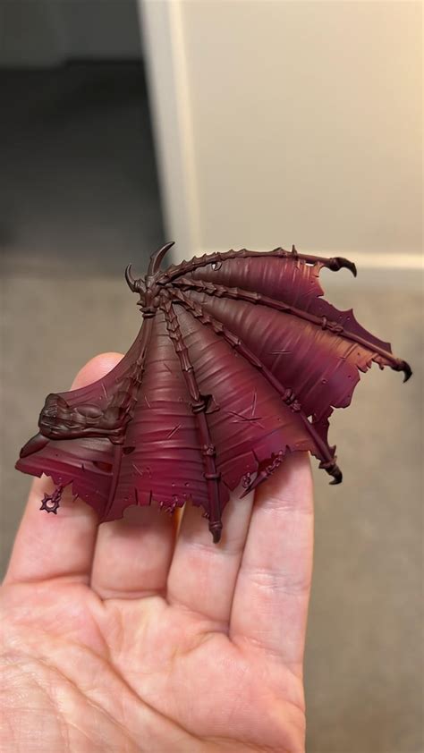 Thanks For The Help Second Question Wing Membrane Keep This Bright