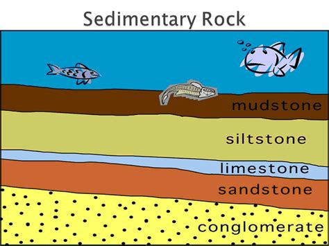 Sedimentary Rock Layers Diagram