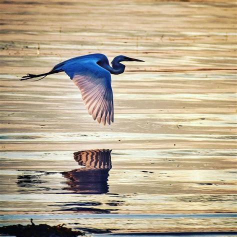 Barbara Oconnell On Linkedin Photos Enhance Your Workplace Create A