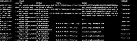 How To Install A Hyperledger Fabric Network In Localhost By Iván Alberquilla Medium