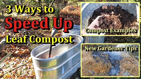 Fix Your Sluggish Leaf Compost 5 Common Problems Solved Openlearning