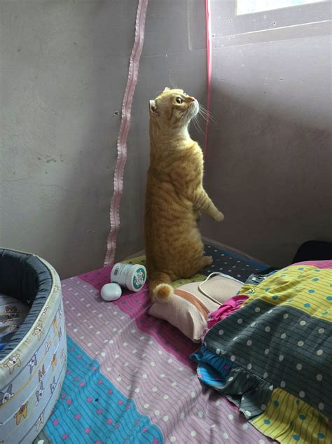 ချောပုလုံးမိသားစု အဖေဖြစ်ပီးနောက်ပိုင်းဒါမျိုးတွေတအားလုပ်လာတာနော