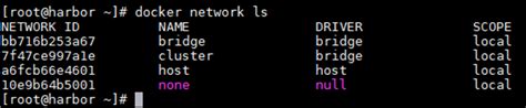 Docker Keepalive Nginx
