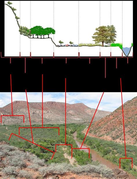 Simplified Schematic And Photo Showing An Example Of Lateral Locations