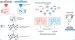 DSpliceType A Generalized Framework To Detect Differential Splicing And Differential