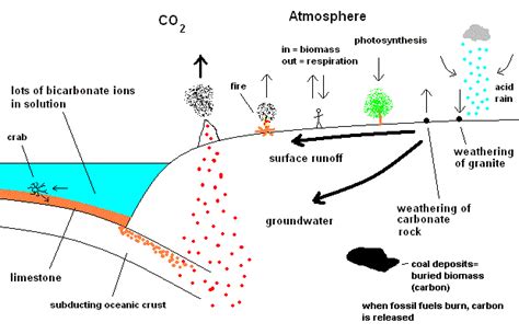 Carbon Cycle