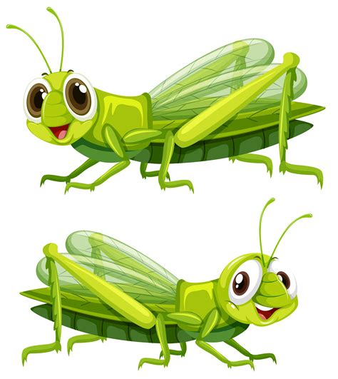 Grasshopper Vector Clip Art Clipart Panda Free Clipar