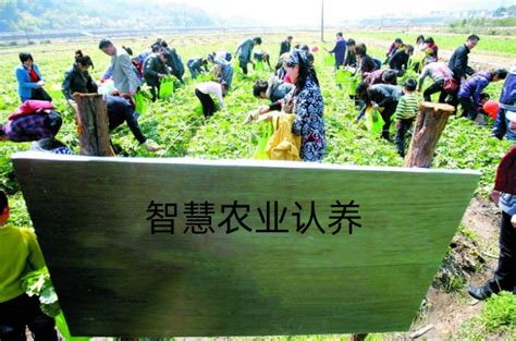 智慧农业认养系统开发模式有哪几种？认养农业小程序开发要多少钱？ 知乎