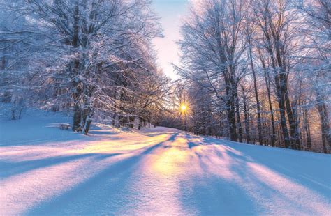 14 Facts About The Winter Solstice Buffalo Healthy Living Magazine