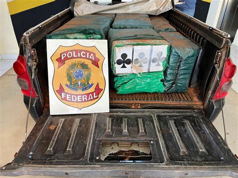 Polícia Federal Apreende Cerca De Meia Tonelada De Cocaína Em Sp