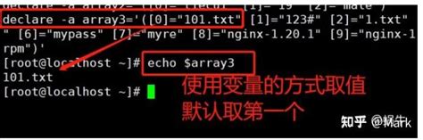 Linux 数组array 知乎