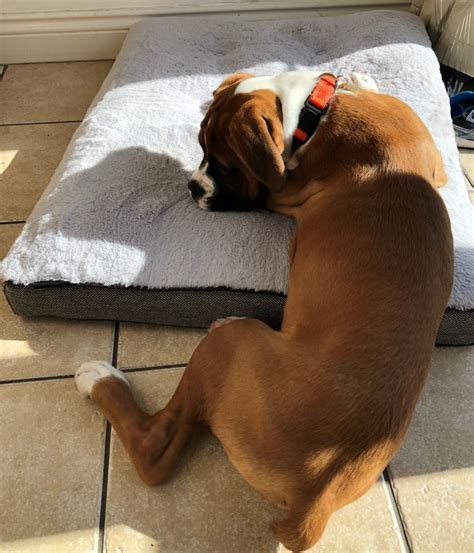 John Crickett On Linkedin Ux Systemdesign Softwareengineering 17