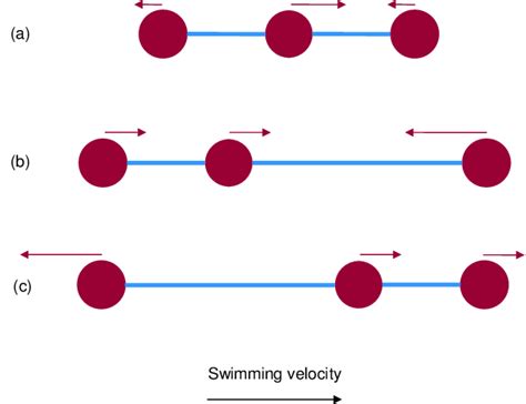 Figure 3 From Analytic Results For The Three Sphere Swimmer At Low Reynolds Number Semantic