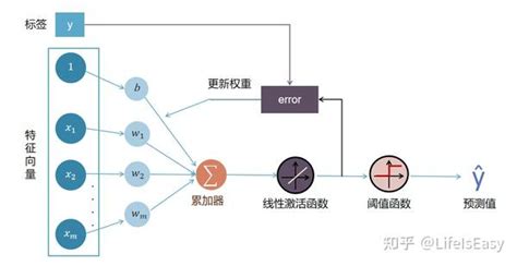 自适应线性神经元（adaptive Linear Neuron） 知乎