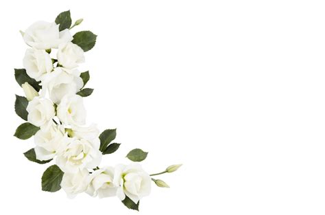 Flores Brancas Png
