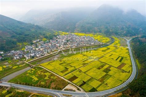 浙江淳安油菜花醉山村 人民图片网