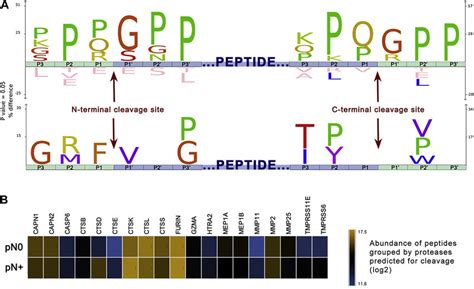 Cleavage Site Analysis Of Differentially Abundant Peptides And