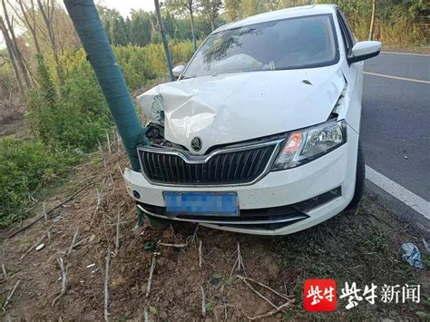 新手开车上路会车很紧张打一把方向避让结果撞树上 钱某 湖熟 徐相村