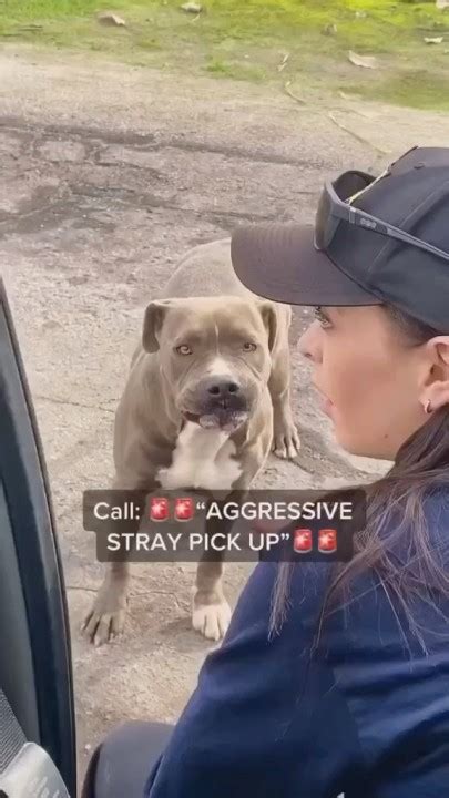 Ronald Stringer Posted On Linkedin