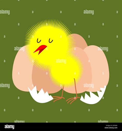 Chicken Hatching From Egg Stock Vector Images Alamy