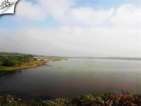Hesaraghatta Grasslands In Search Of Unknown Lands 19122015 Sakre