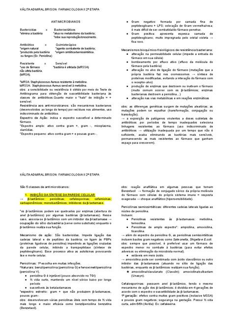 Mecanismos De Ação E Classes De Antimicrobianos Abordados No Documento