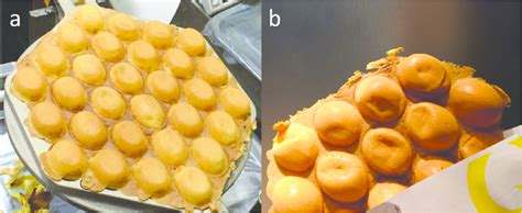 Camera Image Of Eggette A In The Mold B Finished Product