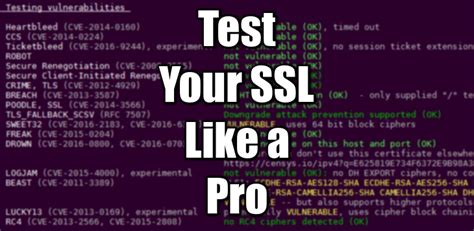 how to test ssl configurations with testssl sh