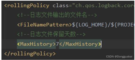 logback xml中maxhistory日志文件保留天数不生效 logback maxhistory不生效 csdn博客