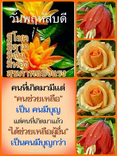 ปักพินโดย Yaowalak Pholnongluang ใน สวัสดี วันพฤหัสบดี วันศุกร์ วัน
